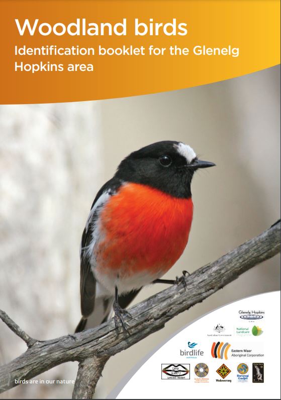 National Bird Week | Glenelg Hopkins CMA