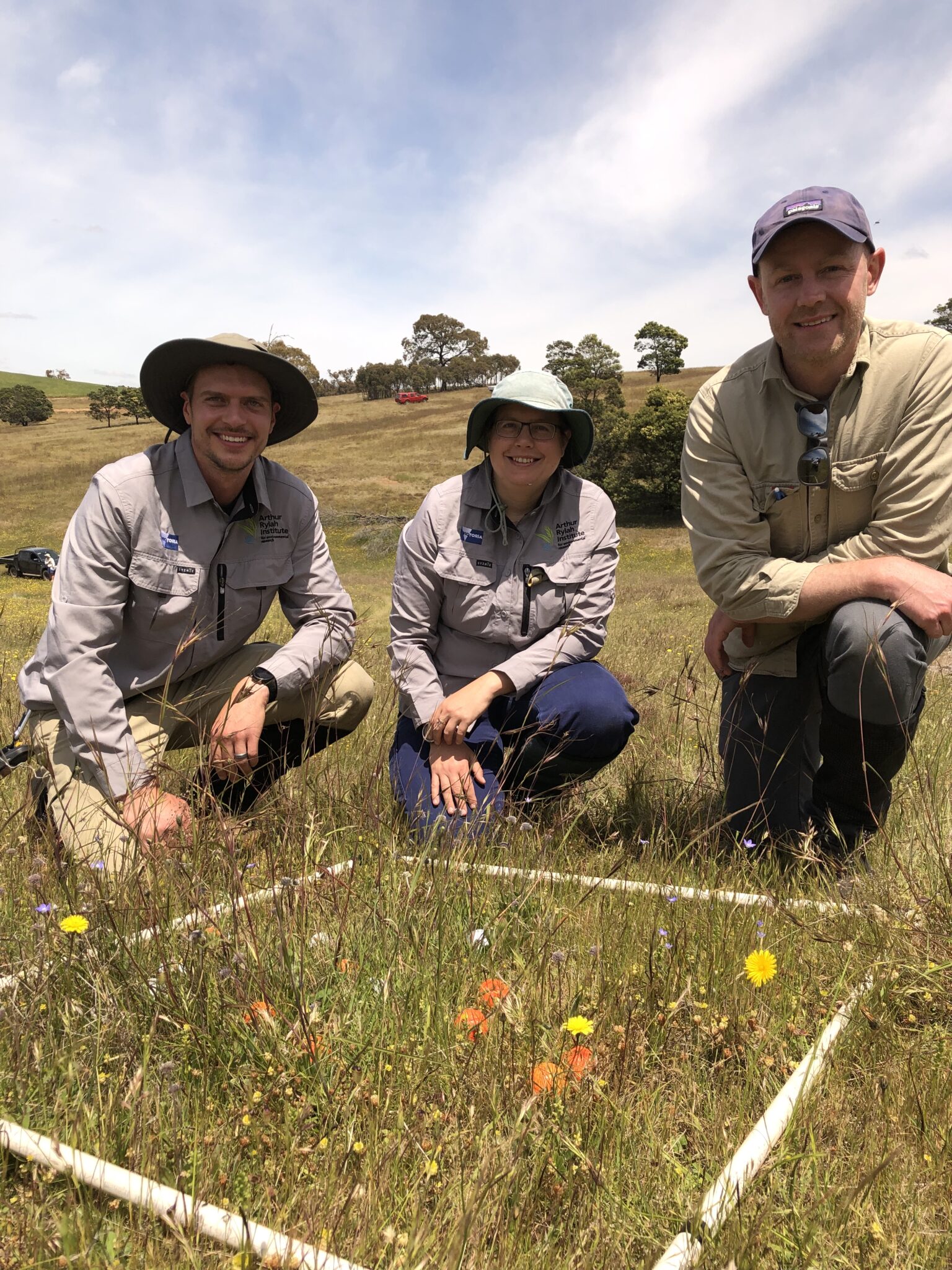 Grasslands of the Victorian Volcanic Plains | Glenelg Hopkins CMA