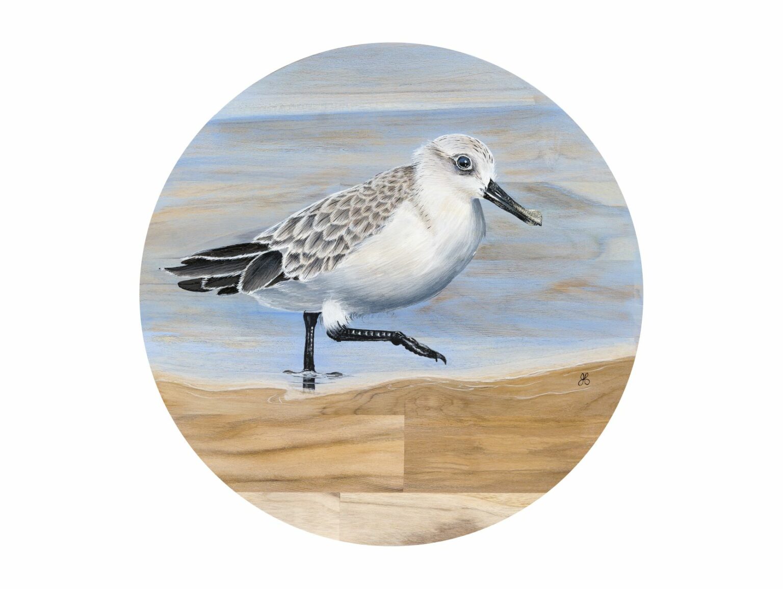 Sanderling Tracking Project | Glenelg Hopkins CMA