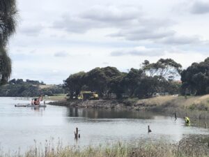 Hopkins River Habitat | Glenelg Hopkins CMA