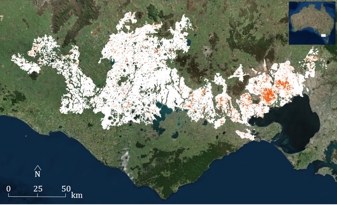 Grasslands of the Victorian Volcanic Plains | Glenelg Hopkins CMA