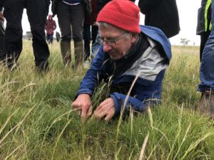 Grasslands of the Victorian Volcanic Plains | Glenelg Hopkins CMA