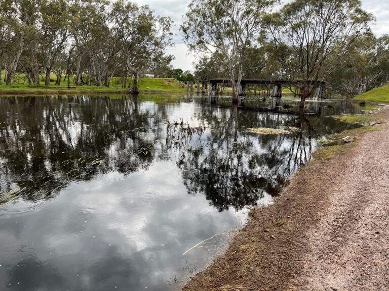 Blackwater event in Wannon River | Glenelg Hopkins CMA