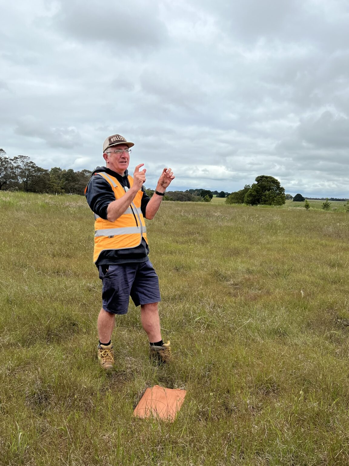 Grasslands of the Victorian Volcanic Plains | Glenelg Hopkins CMA