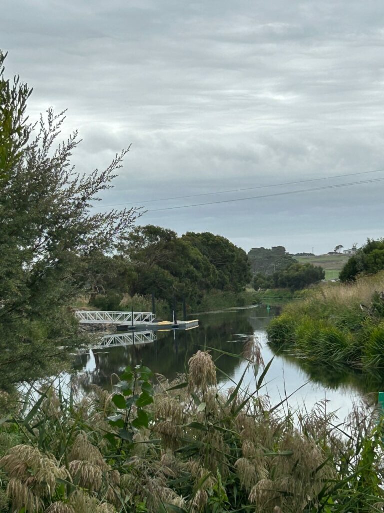 Monitoring moths to make fat bats | Glenelg Hopkins CMA