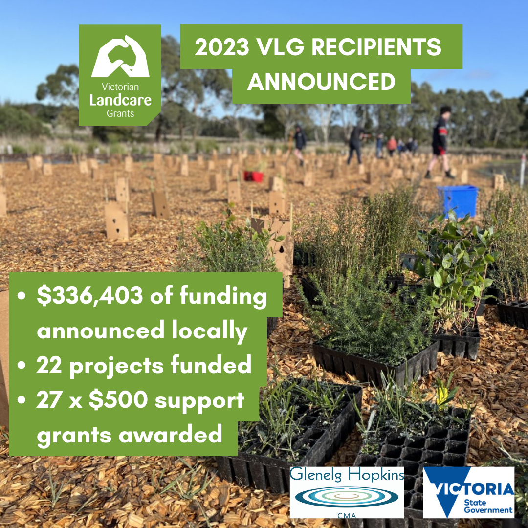 Victorian Landcare Grants announced | Glenelg Hopkins CMA