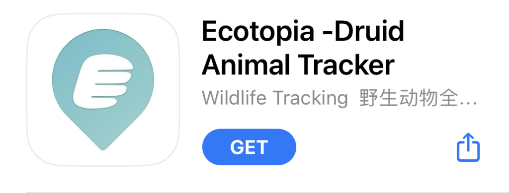 Sanderling Tracking Project | Glenelg Hopkins CMA