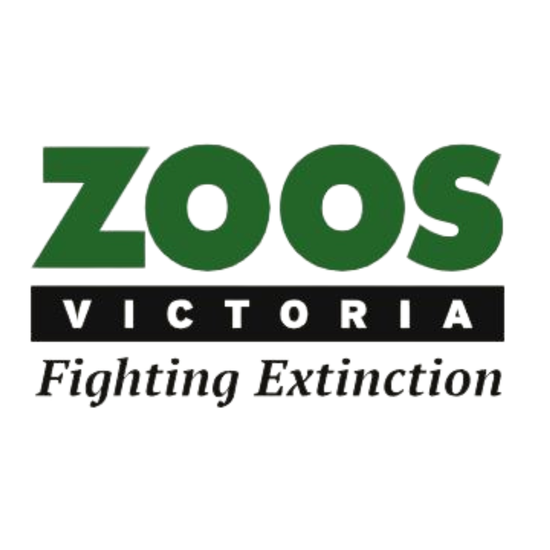 Southern Bent-wing Bat | Glenelg Hopkins CMA