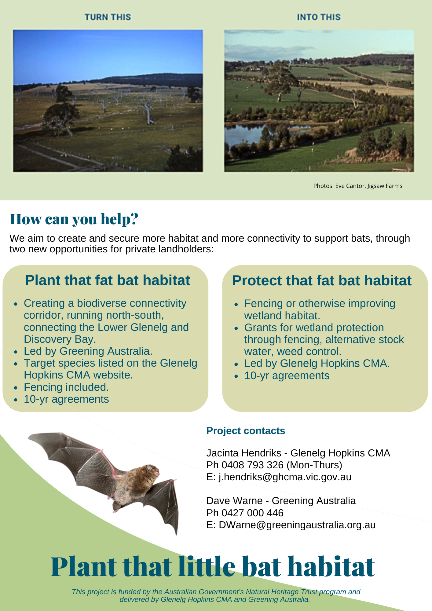 How to support the little fat bats | Glenelg Hopkins CMA