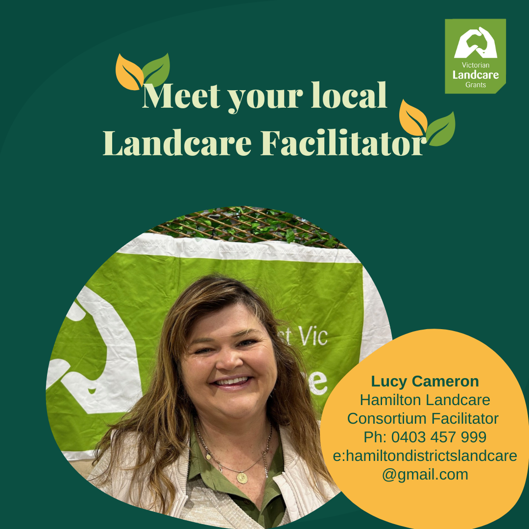 APPLY NOW: Victorian Landcare Grants | Glenelg Hopkins CMA